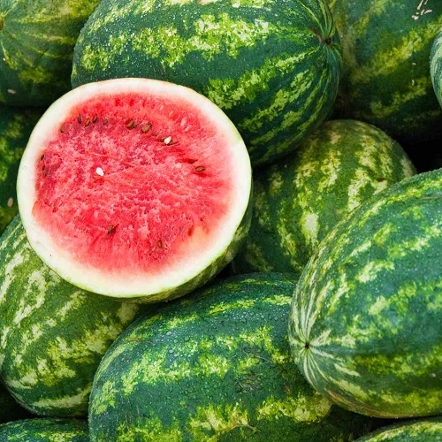 Salunkhe Exports Pvt. Ltd.